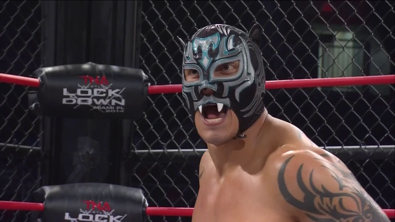 Cewsh Reviews - TNA Lockdown 2014 | Rajah.com